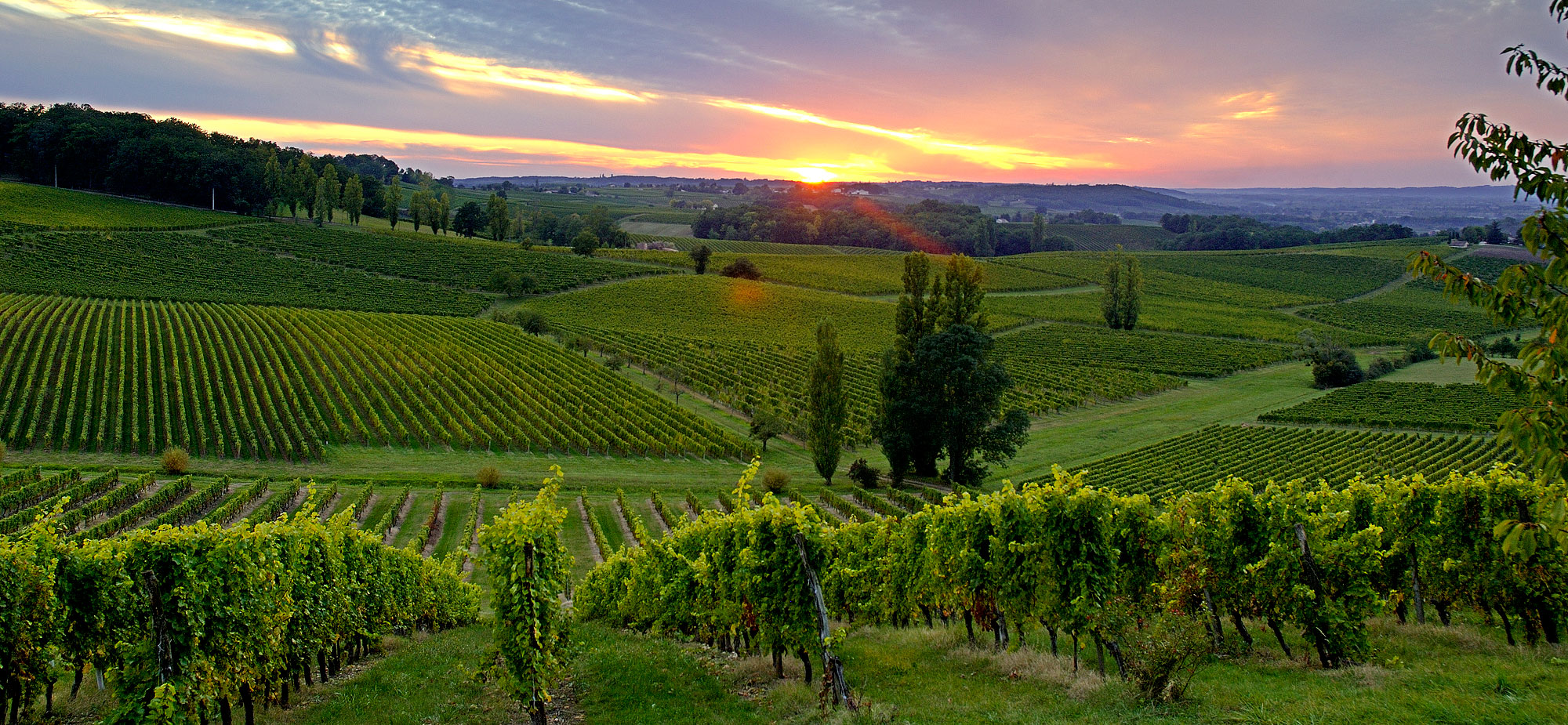 De beste wijngebieden van de wereld – BergoVino ''Uw online wijn adviseur''